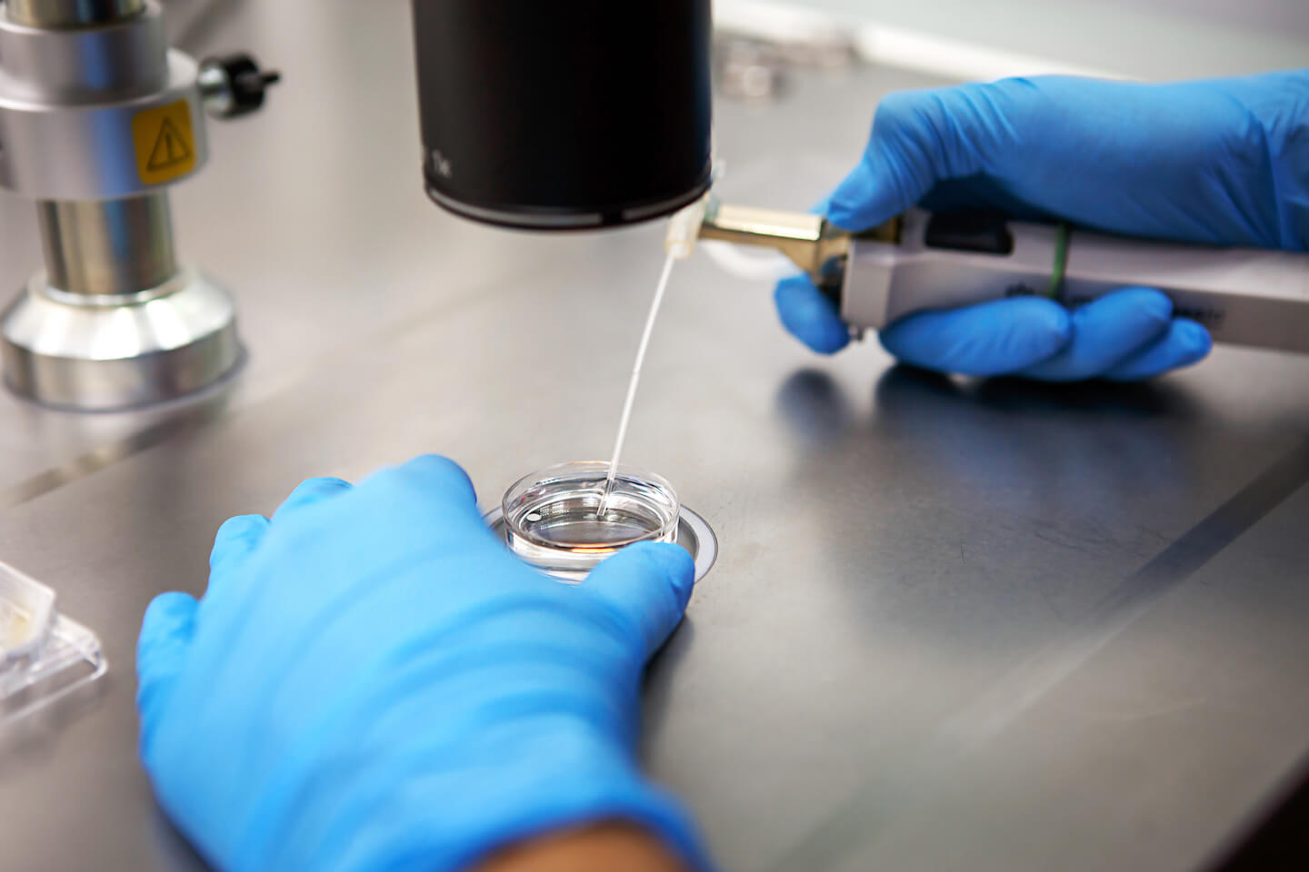 Alles rund um die In-Vitro-Fertilisation (IVF) - Kalimeda